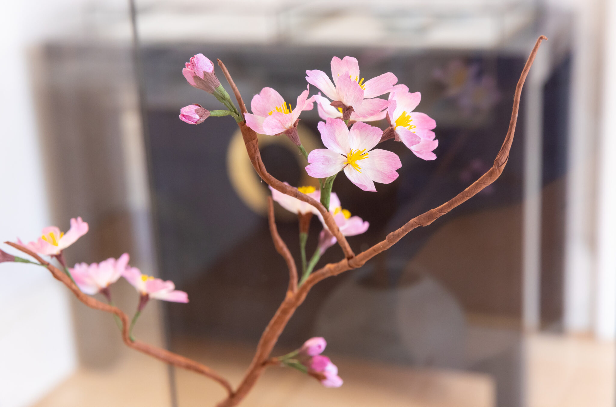 In Bloom | Museum of East Asian Art
